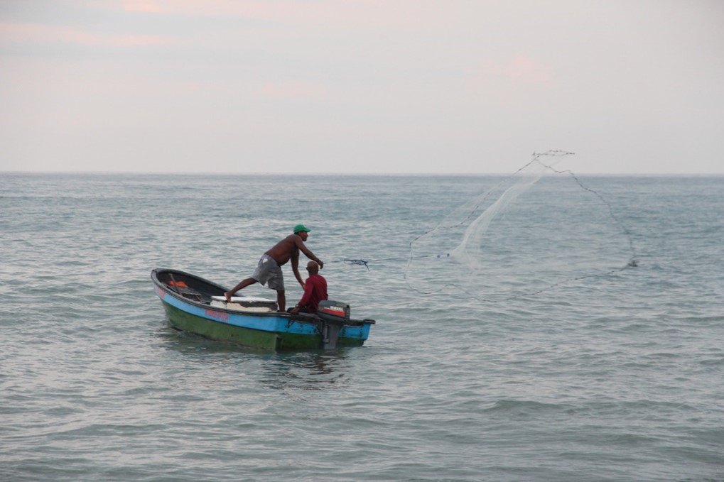 Mapping Ocean Wealth